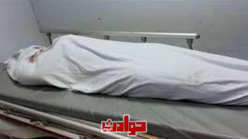 مصرع شخص وإصابة 2 آخرين بحادث على الطريق الزراعي بالقليوبية التعويذة